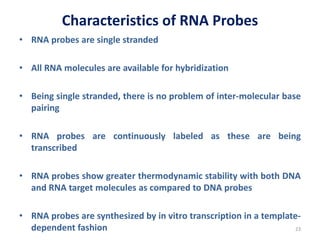 Lectut btn-202-ppt-l23. labeling techniques for nucleic acids | PPTX