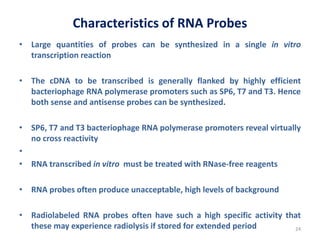 Lectut btn-202-ppt-l23. labeling techniques for nucleic acids | PPTX