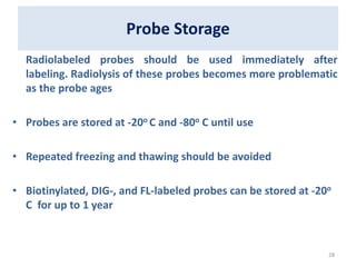 Lectut btn-202-ppt-l23. labeling techniques for nucleic acids | PPTX