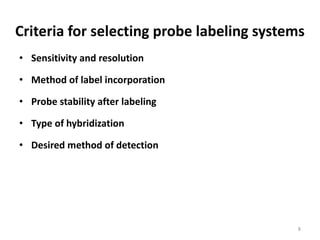 Lectut btn-202-ppt-l23. labeling techniques for nucleic acids | PPTX