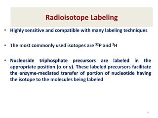 Lectut btn-202-ppt-l23. labeling techniques for nucleic acids | PPTX