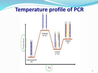 Lectut btn-202-ppt-l26. polymerase chain reaction for dna amplification ...