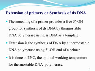 Lectut btn-202-ppt-l26. polymerase chain reaction for dna amplification ...