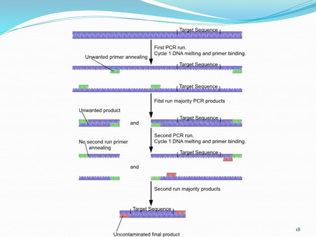 Lectut btn-202-ppt-l27. variants of pcr-i | PPTX