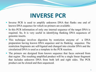 Lectut btn-202-ppt-l27. variants of pcr-i | PPT | Free Download