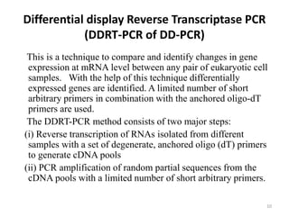 Lectut btn-202-ppt-l28. variants of pcr-ii | PPTX