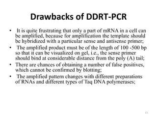 Lectut btn-202-ppt-l28. variants of pcr-ii | PPTX | Chemistry | Science