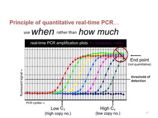 Lectut btn-202-ppt-l28. variants of pcr-ii | PPTX | Chemistry | Science