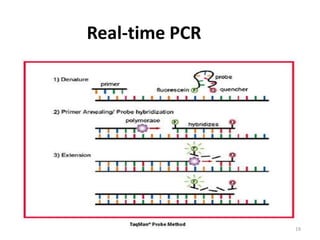 Lectut btn-202-ppt-l28. variants of pcr-ii | PPTX | Chemistry | Science