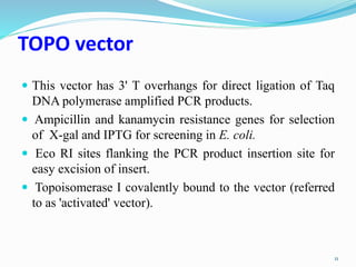 Lectut btn-202-ppt-l29. applications of pcr-i (1) | PPT