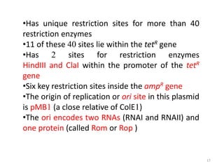 Lectut btn-202-ppt-l3. gene cloning and plasmid vectors (1) | PPTX
