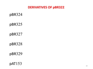Lectut btn-202-ppt-l3. gene cloning and plasmid vectors (1) | PPTX