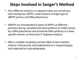 Lectut btn-202-ppt-l31. dna sequencing-i | PPTX