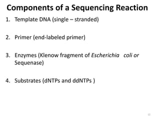Lectut btn-202-ppt-l31. dna sequencing-i | PPT
