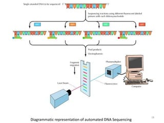 Lectut btn-202-ppt-l32. dna sequencing-ii | PPTX