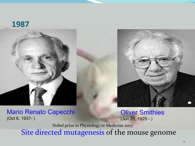 Lectut btn-202-ppt-l33. site-directed mutagenesis | PPTX | Genetics | Science