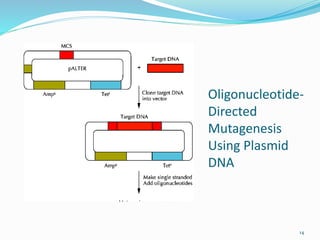 Lectut btn-202-ppt-l33. site-directed mutagenesis | PPTX