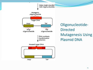 Lectut btn-202-ppt-l33. site-directed mutagenesis | PPTX