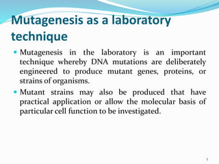 Lectut btn-202-ppt-l33. site-directed mutagenesis | PPTX
