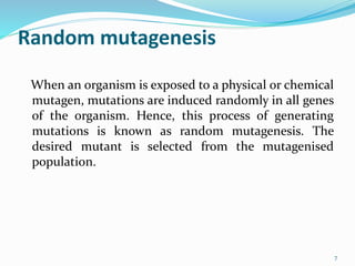 Lectut btn-202-ppt-l33. site-directed mutagenesis | PPTX