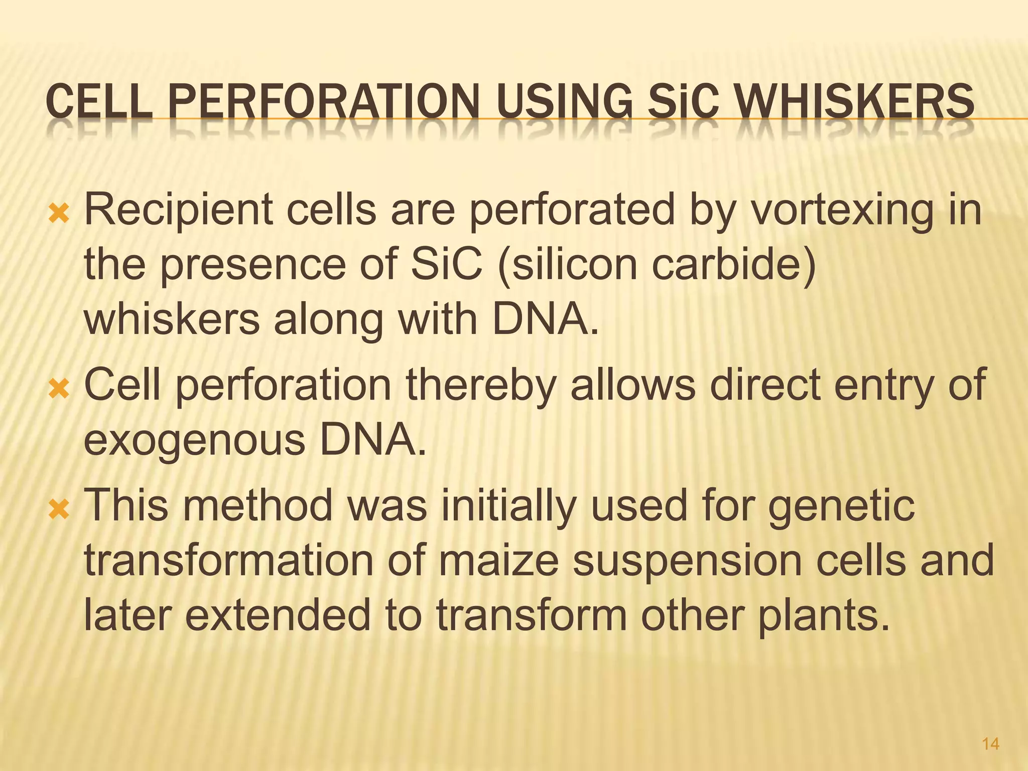 Lectut btn-202-ppt-l35. genetic transformation | PPTX