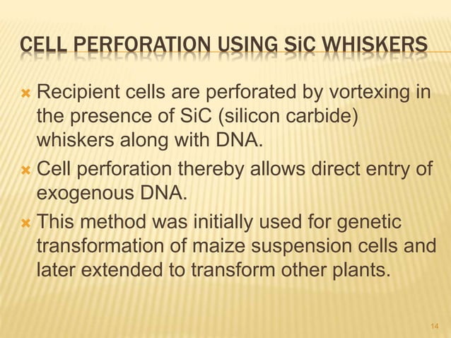 Lectut btn-202-ppt-l35. genetic transformation | PPT