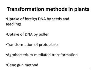 Lectut btn-202-ppt-l36. genetic transformation of plants | PPTX