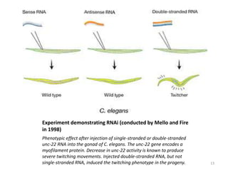 Lectut btn-202-ppt-l37. transgene silencing | PPTX