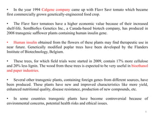 Lectut btn-202-ppt-l39. genetically modified organisms-i | PPTX