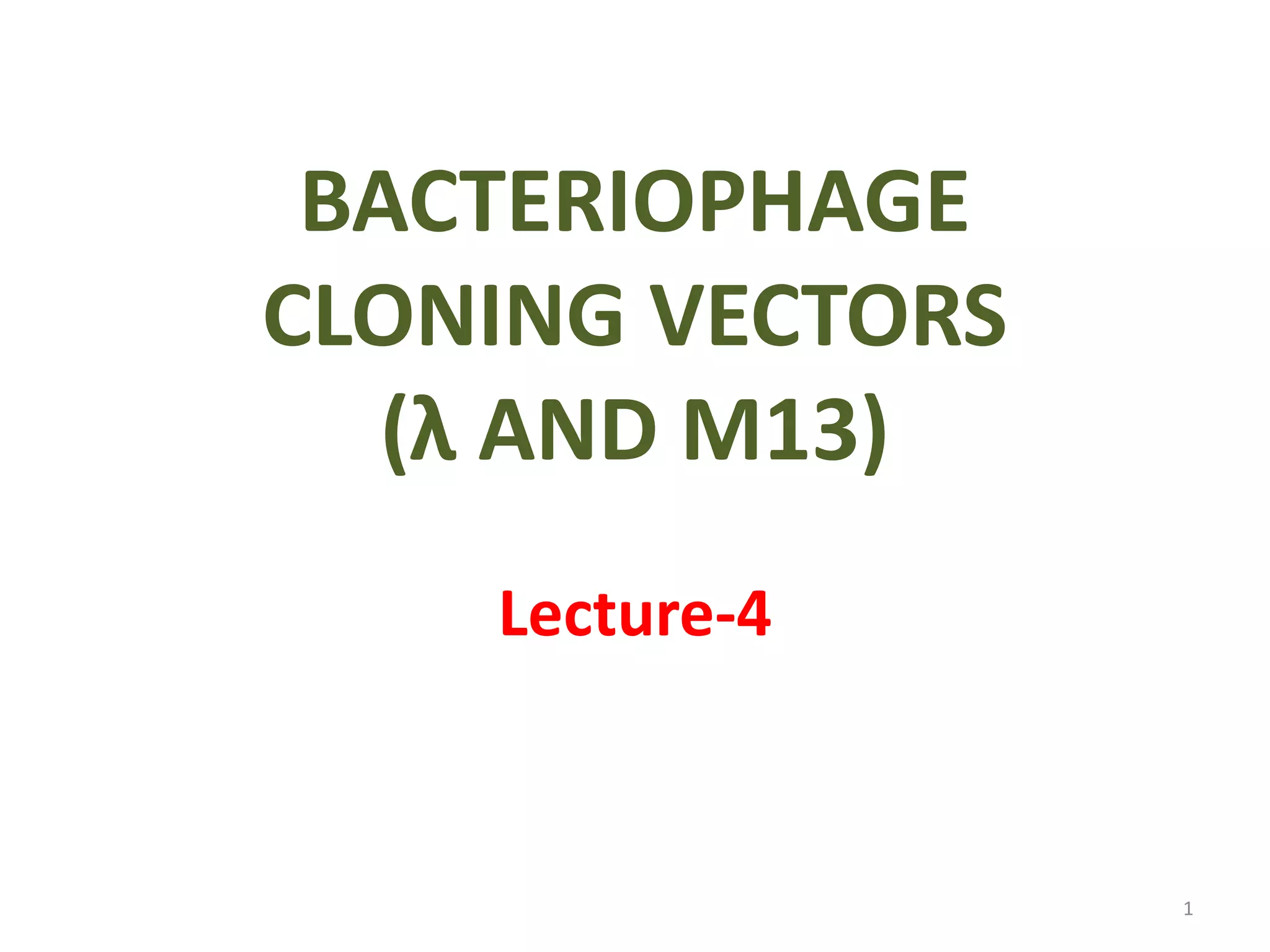 Lectut btn-202-ppt-l4. bacteriophage lambda and m13 vectors (1) | PPTX