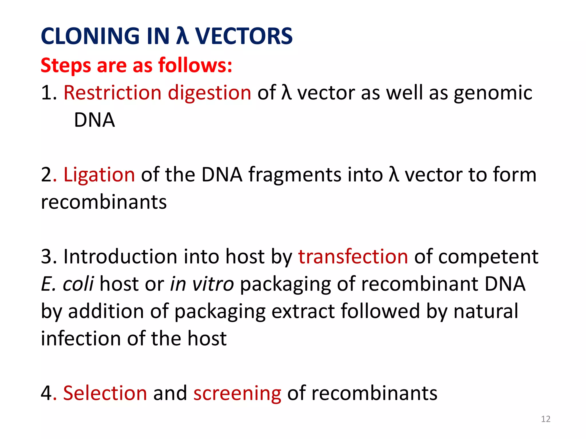 Lectut btn-202-ppt-l4. bacteriophage lambda and m13 vectors (1) | PPTX