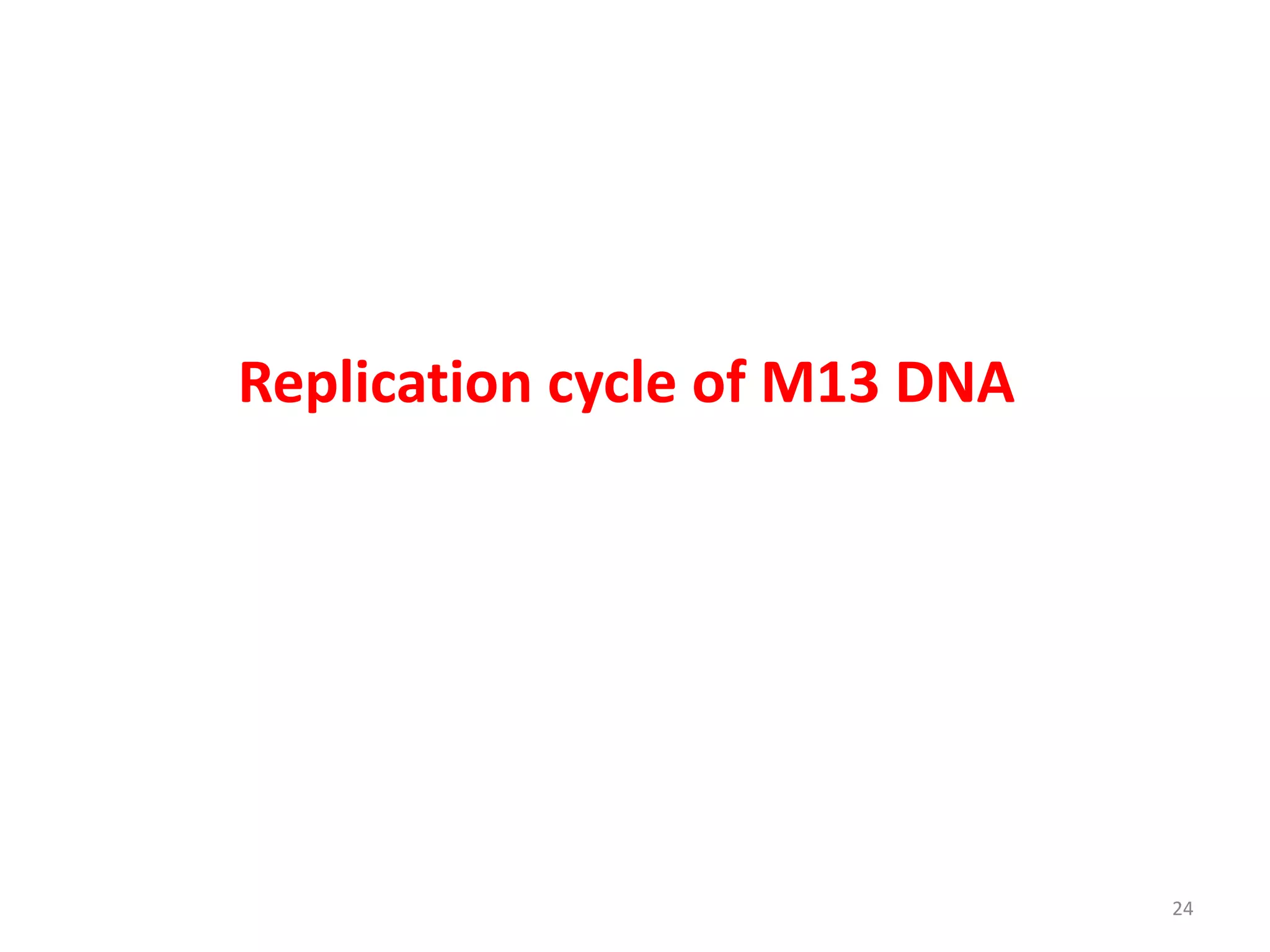 Lectut btn-202-ppt-l4. bacteriophage lambda and m13 vectors (1) | PPTX