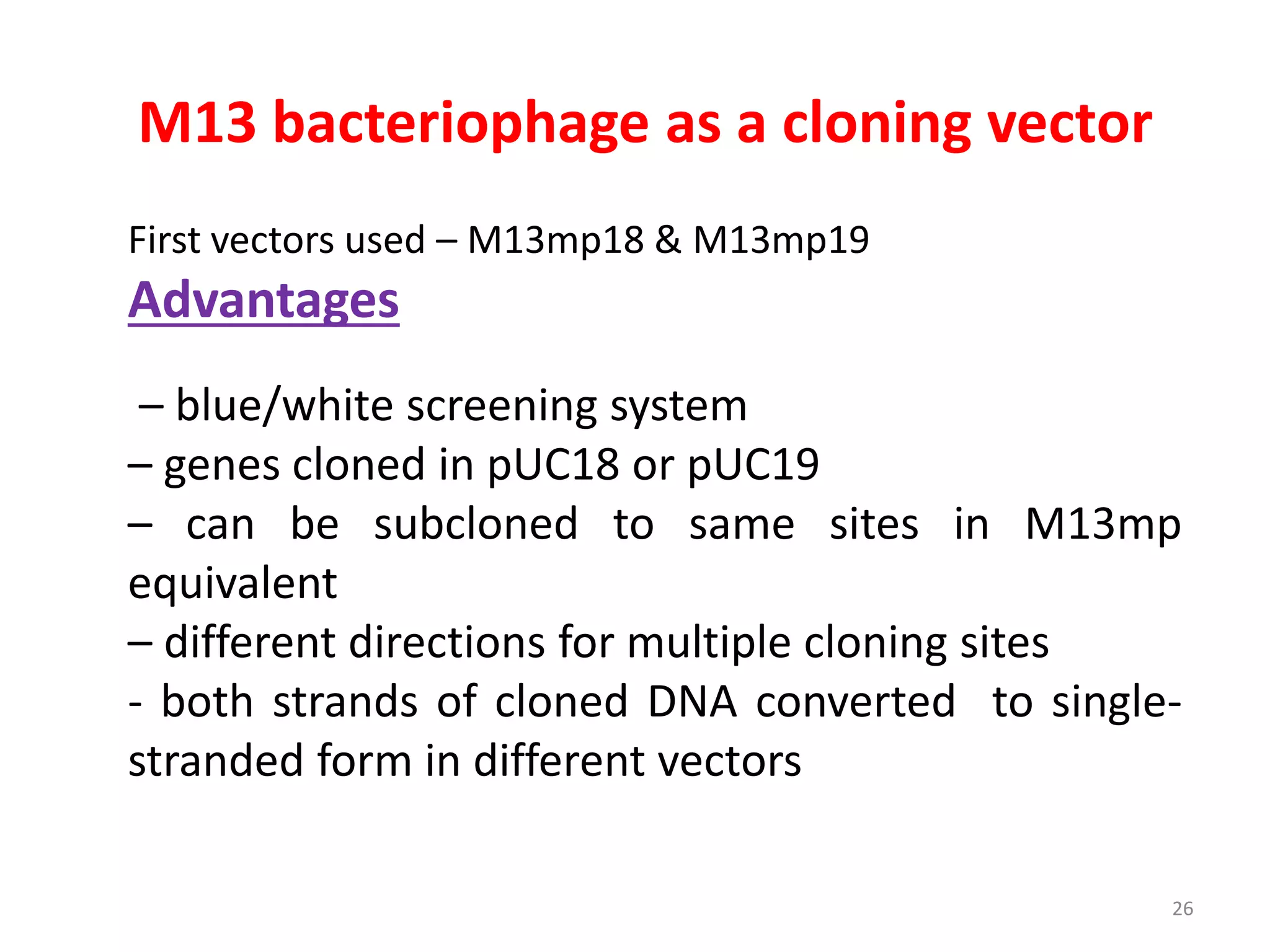 Lectut btn-202-ppt-l4. bacteriophage lambda and m13 vectors (1) | PPTX