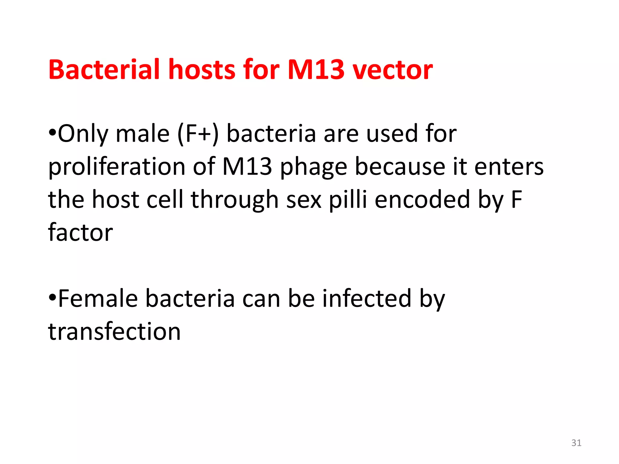 Lectut btn-202-ppt-l4. bacteriophage lambda and m13 vectors (1) | PPTX