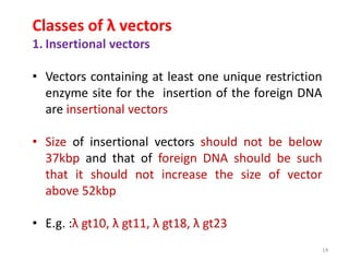 Lectut btn-202-ppt-l4. bacteriophage lambda and m13 vectors (1) | PPTX
