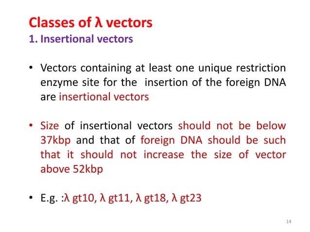 Lectut btn-202-ppt-l4. bacteriophage lambda and m13 vectors (1) | PPTX