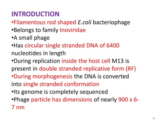 Lectut btn-202-ppt-l4. bacteriophage lambda and m13 vectors (1) | PPTX
