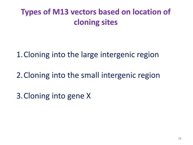 Lectut btn-202-ppt-l4. bacteriophage lambda and m13 vectors (1) | PPTX