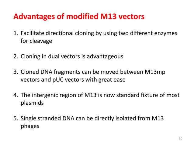 Lectut btn-202-ppt-l4. bacteriophage lambda and m13 vectors (1) | PPTX