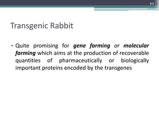 Lectut btn-202-ppt-l40. genetically modified organisms - ii | PPT