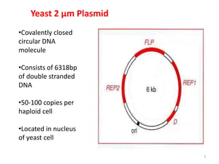 Lectut btn-202-ppt-l5. yeast cloning vectors (1) | PPTX