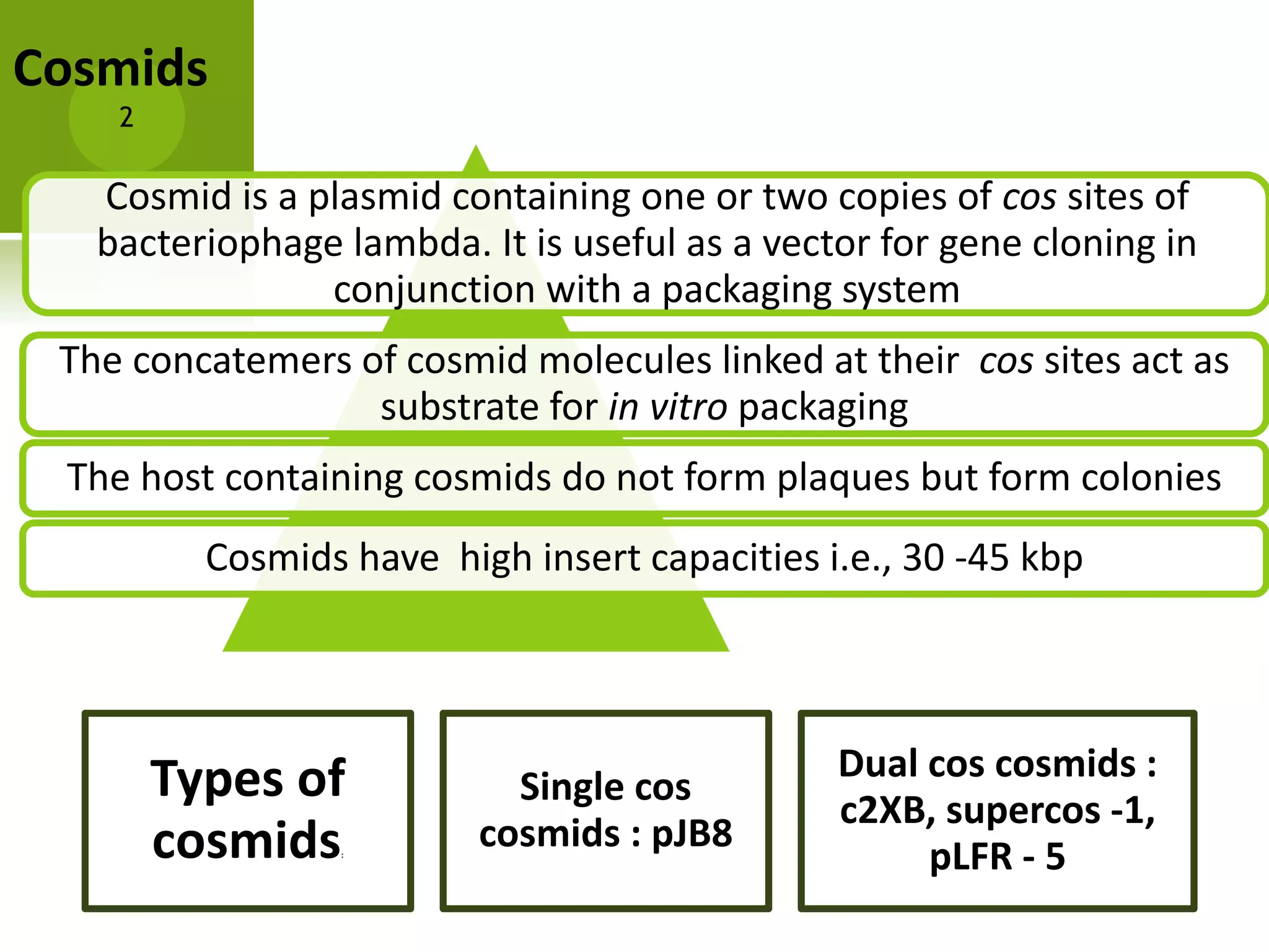Lectut btn-202-ppt-l6. cosmids and phagemids | PPTX