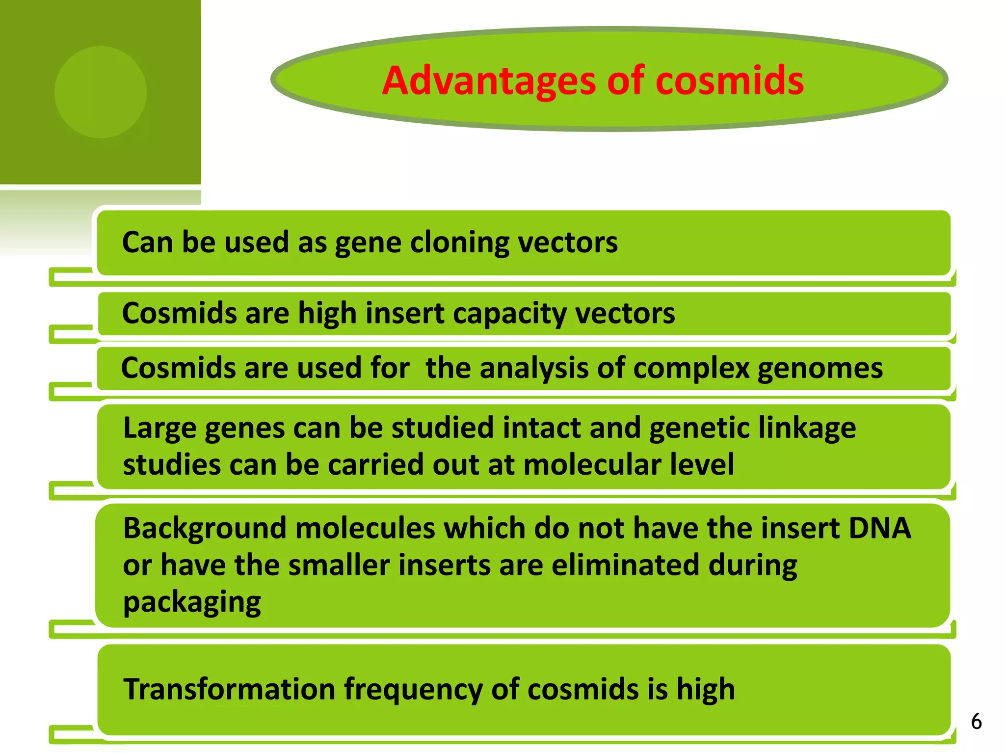 Lectut btn-202-ppt-l6. cosmids and phagemids | PPTX