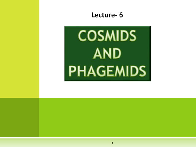 Lectut btn-202-ppt-l6. cosmids and phagemids | PPTX | Genetics | Science