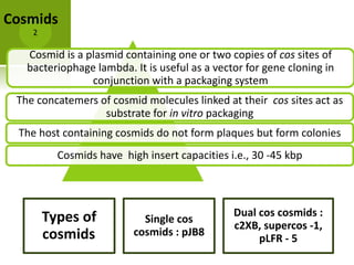 Lectut btn-202-ppt-l6. cosmids and phagemids | PPTX
