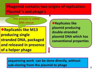 Lectut btn-202-ppt-l6. cosmids and phagemids | PPTX