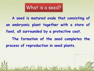 Seed and Seed technology | PPTX | Agriculture | Industries