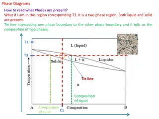 Lec Week 9 Phase diagrams(1).pptx
