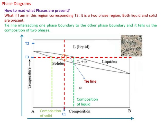 Lec Week 9 Phase diagrams(1).pptx