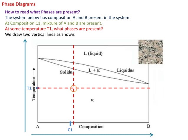 Lec Week 9 Phase diagrams(1).pptx